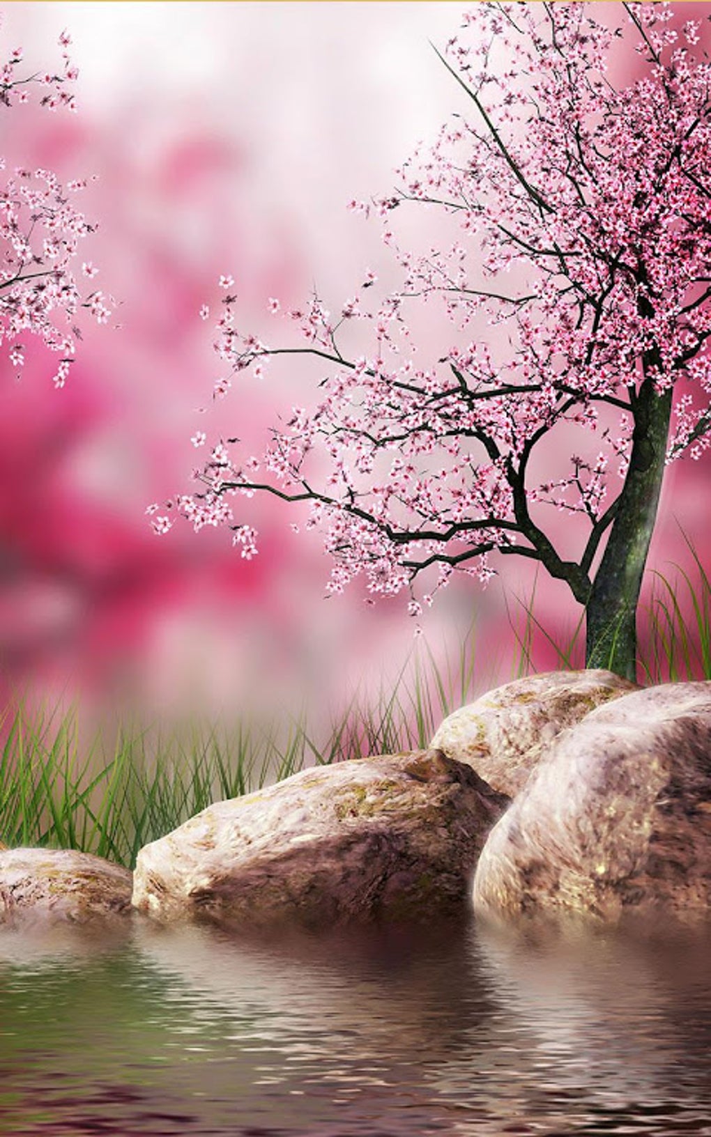 Sakura Live Wallpaper APK per Android - Download