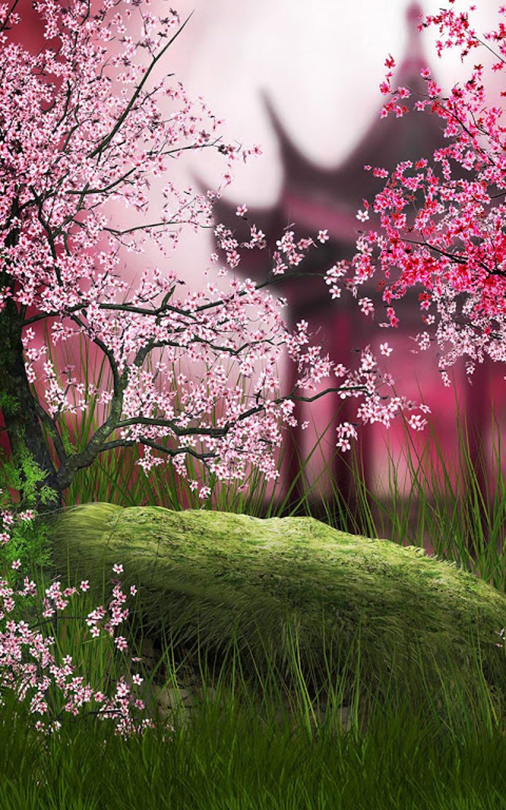 Sakura Live Wallpaper APK para Android - Download