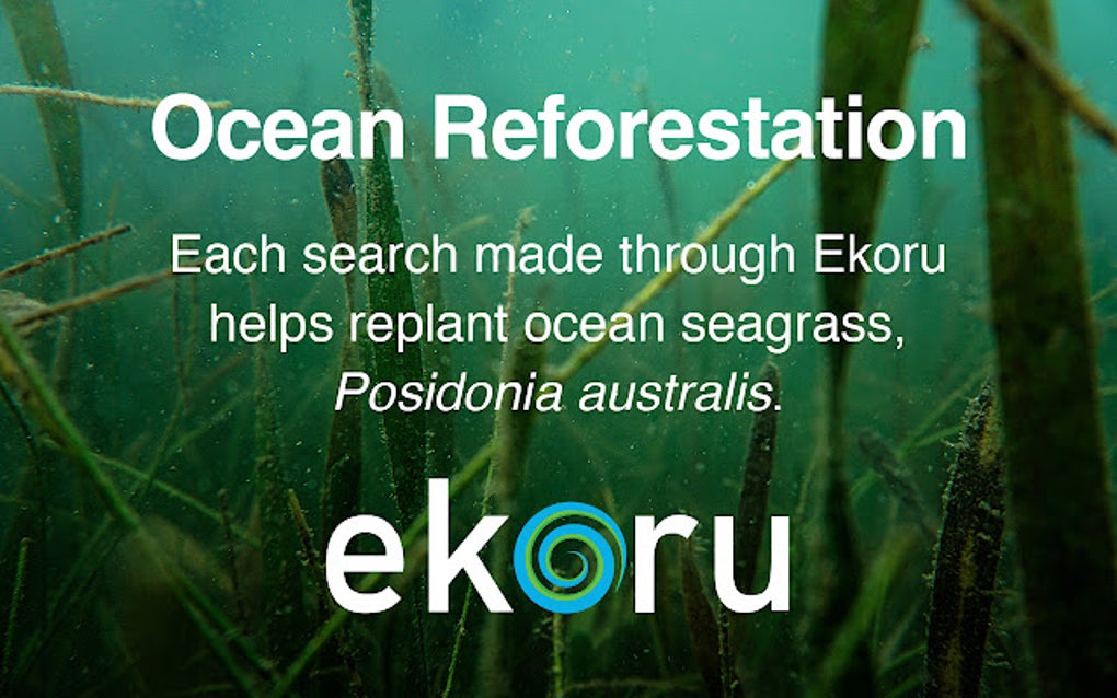 Ekoru Search para Google Chrome - Extensión Descargar