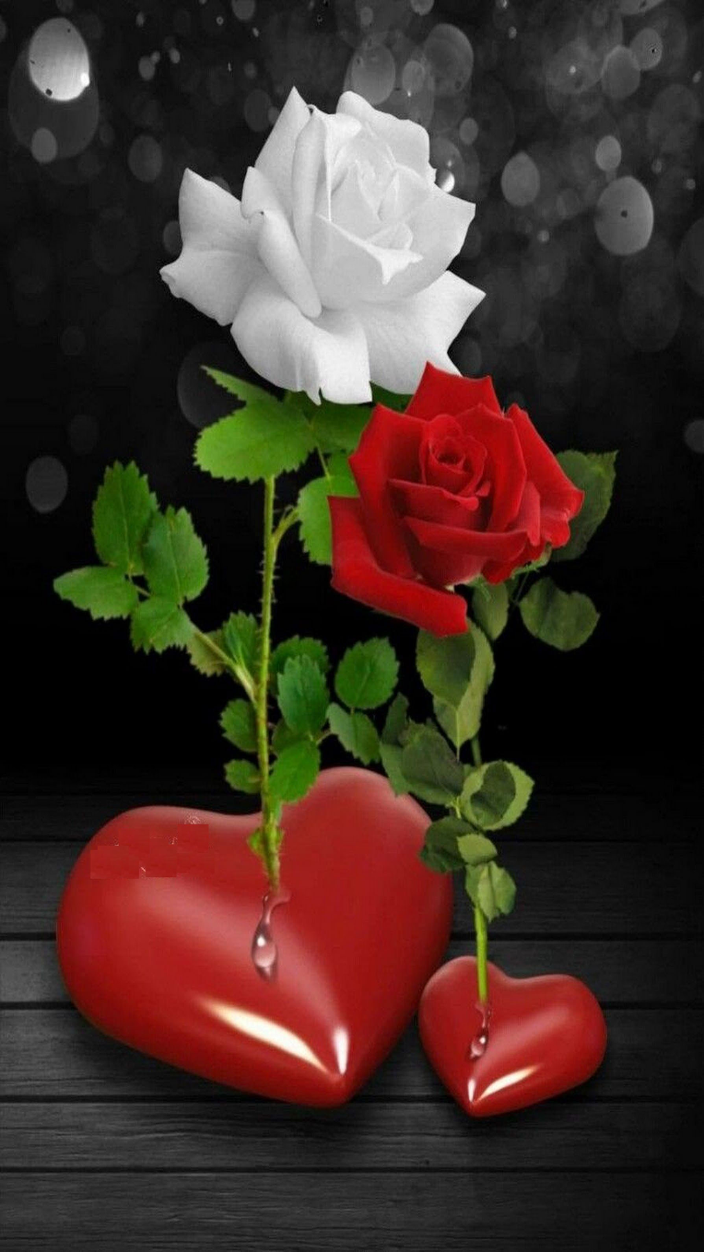 Roses and Flowers for Android - Download