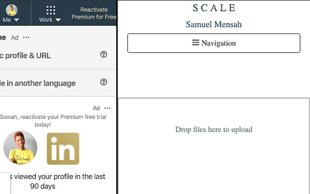 Scale Extension for Google Chrome - Extension Download
