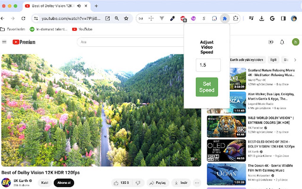 Control Video Speed for Google Chrome - Extension Download