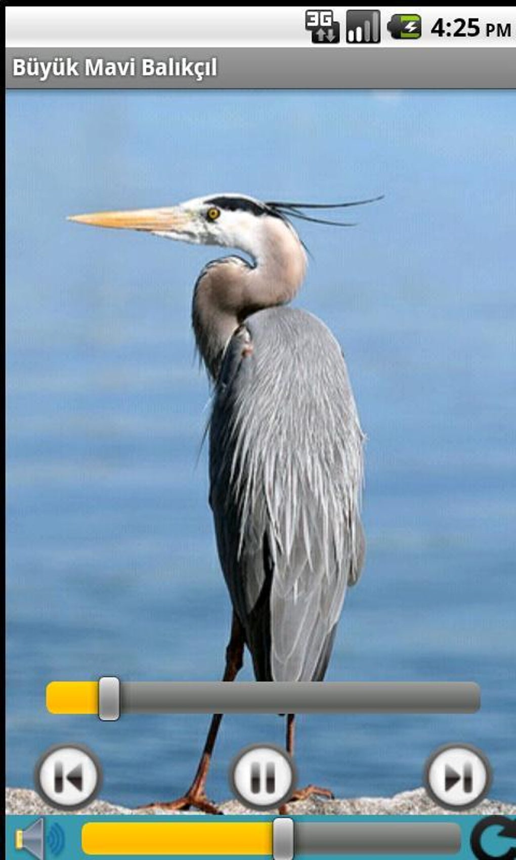 Kuş Sesleri APK for Android - Download