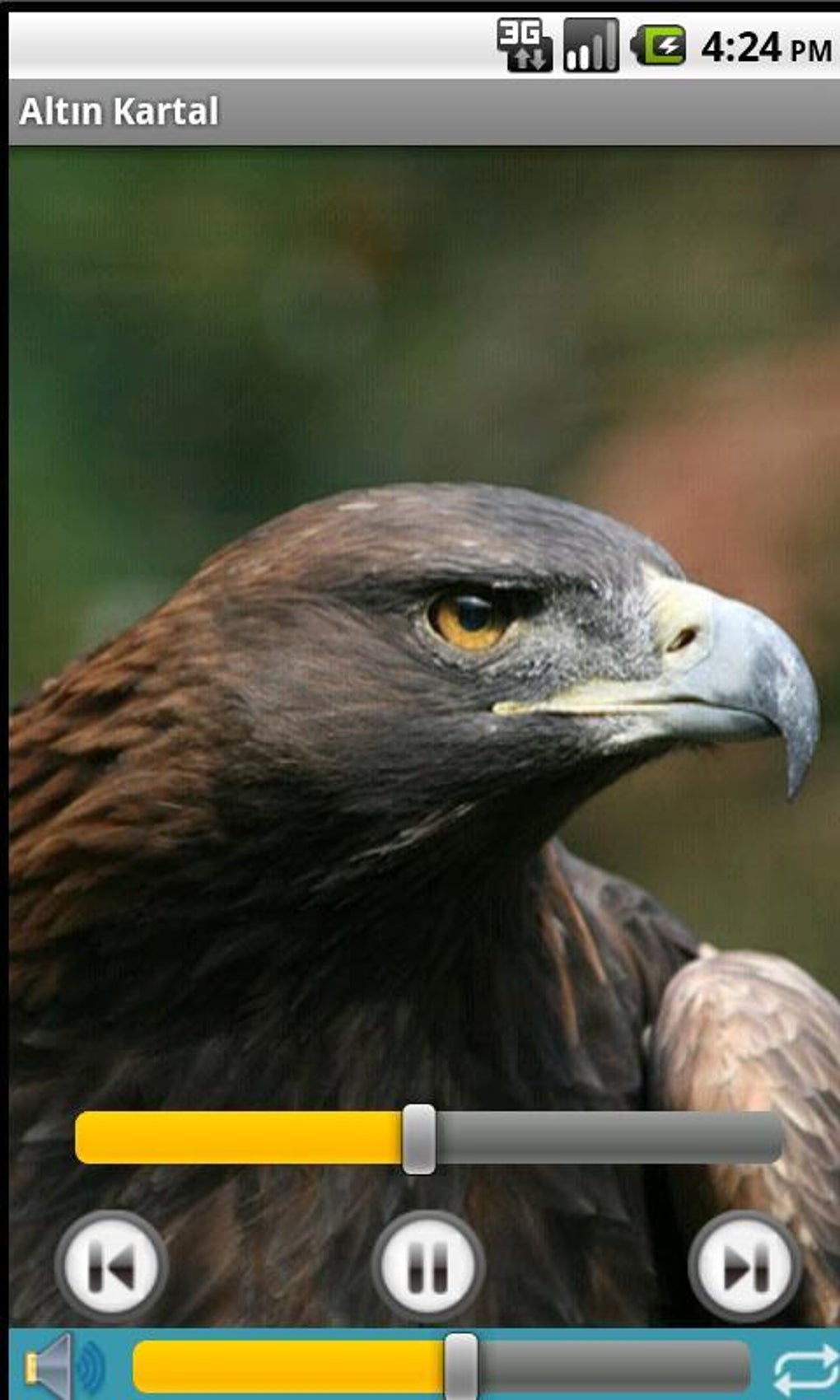 Kuş Sesleri APK for Android - Download