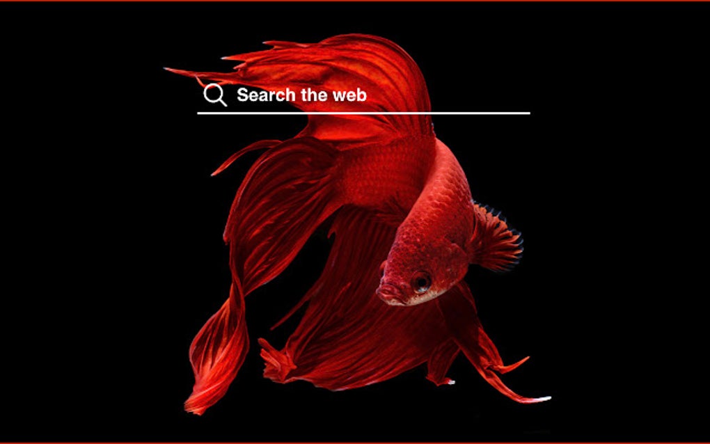 Betta Fish iOS Wallpapers Theme para Google Chrome - Extensión Descargar