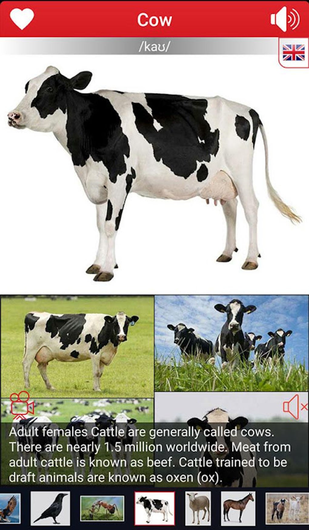 Animals for Kids APK for Android - Download