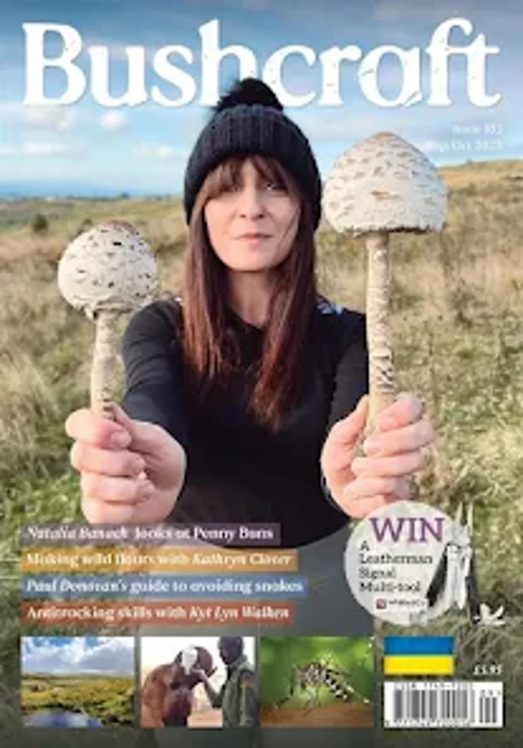 Bushcraft Survival Skills pour Android - Télécharger