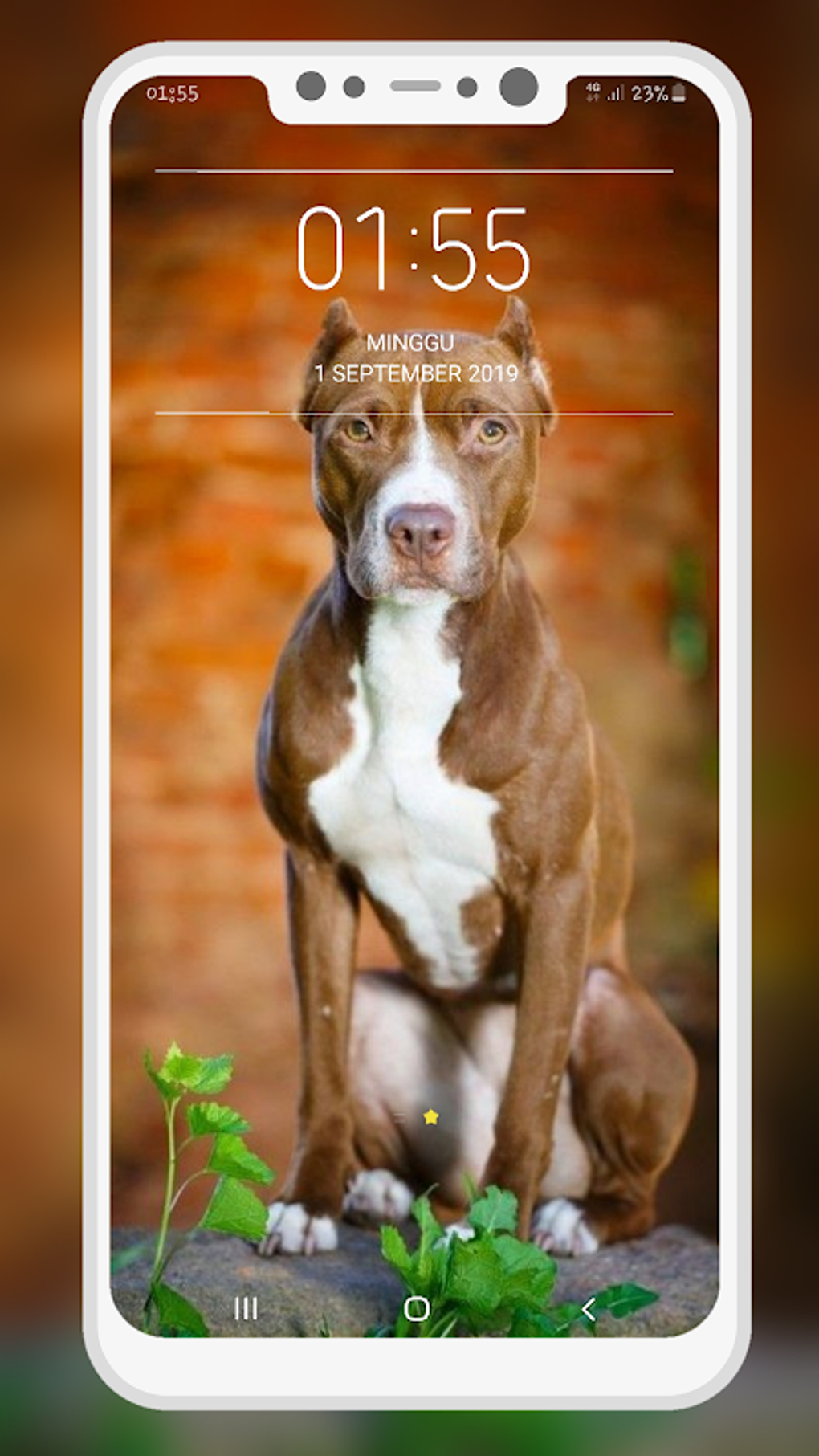 Pitbull Wallpaper APK for Android - Download