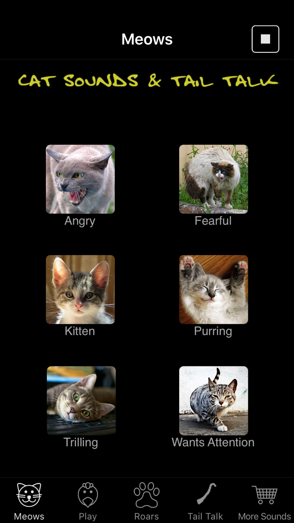 Cat Sounds Tail Talk para iPhone - Descargar