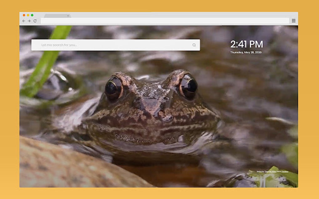 Frog Start - Because cats are lame para Google Chrome - Extensión Descargar