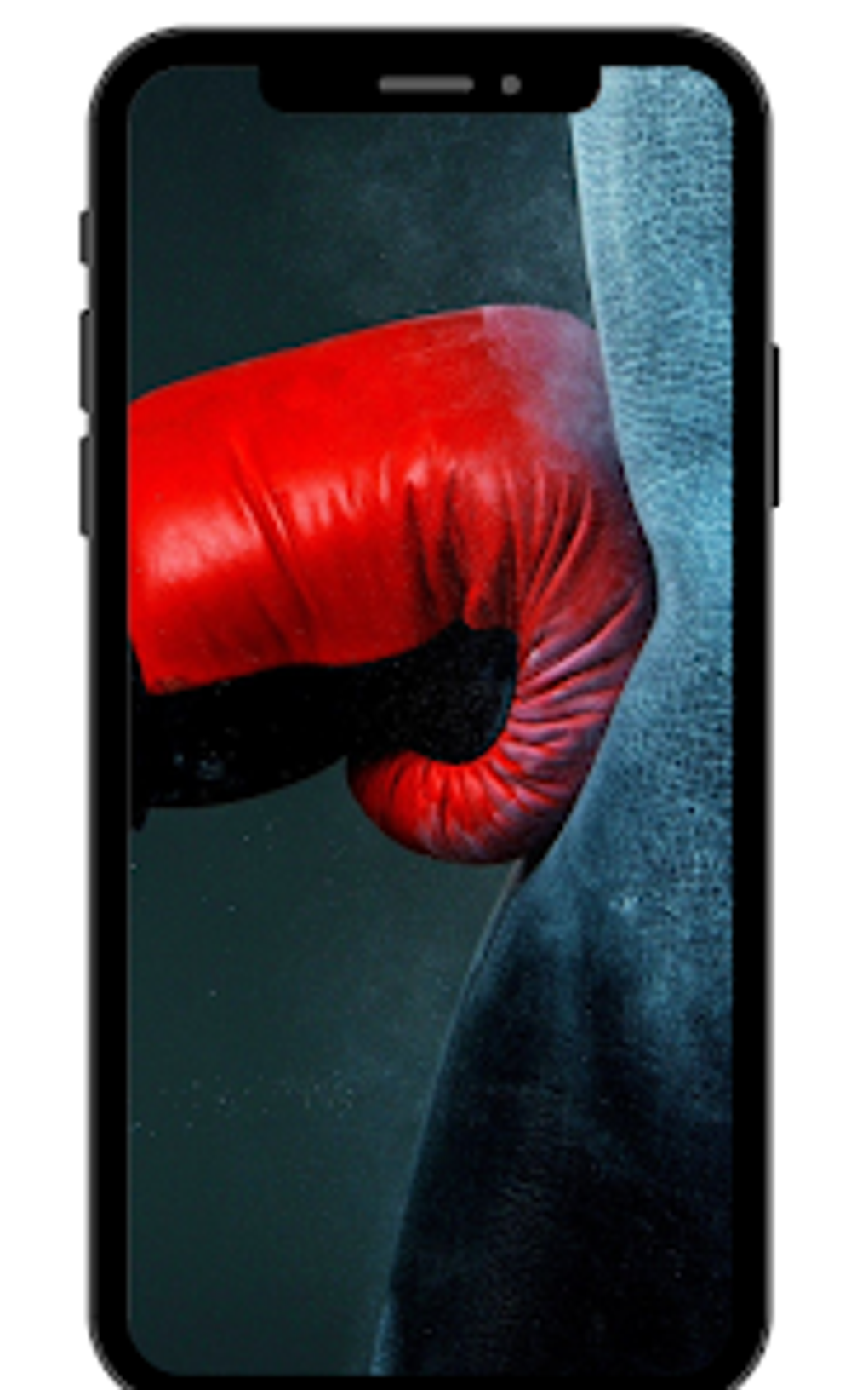 Boxing Wallpapers para Android - Descargar