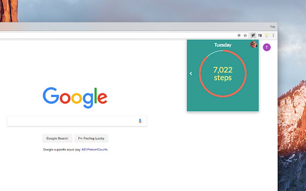Step Tracker para Google Chrome - Extensión Descargar