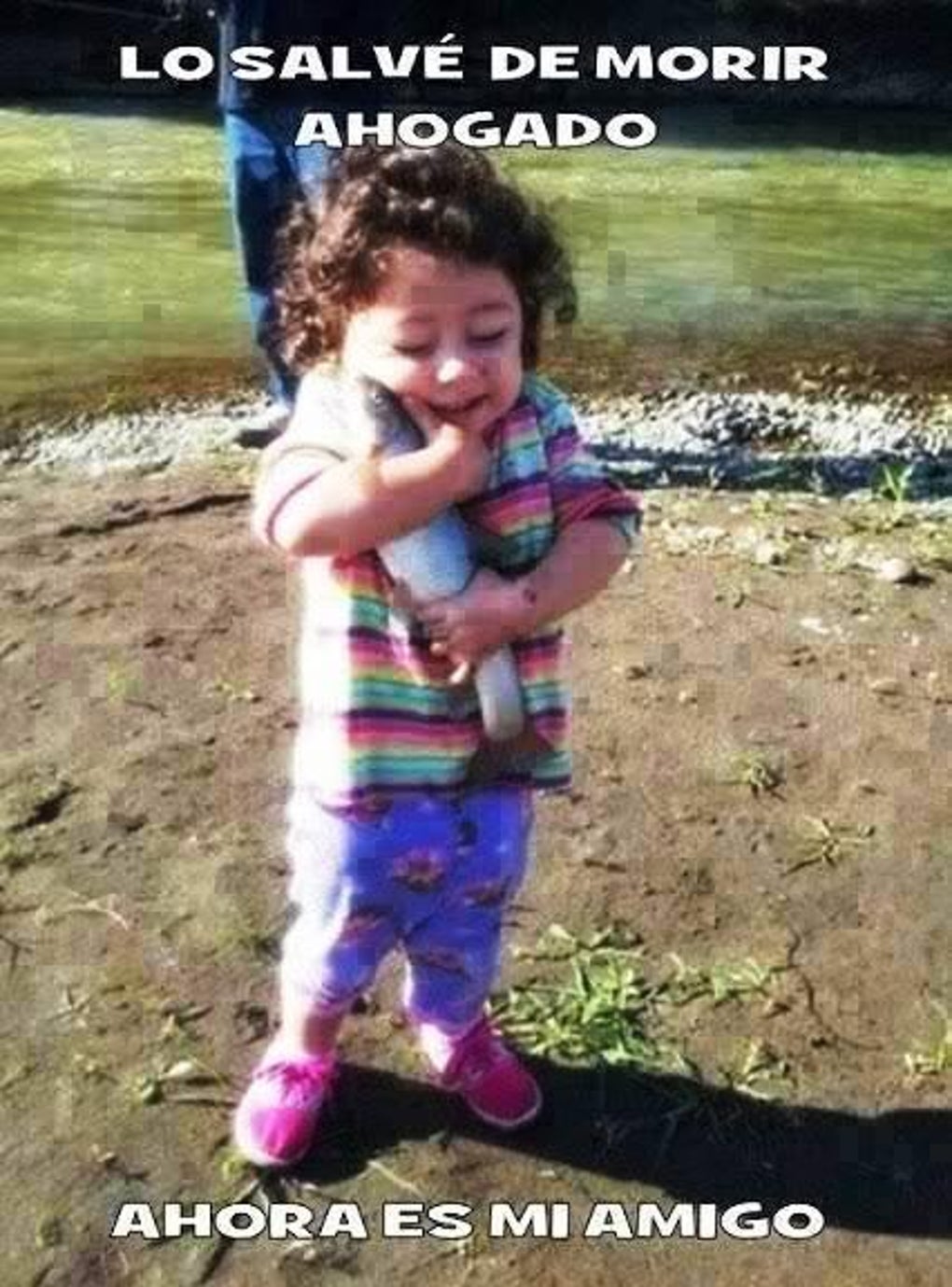 Humor y Memes para Whatsapp en Español APK Android - ダウンロード