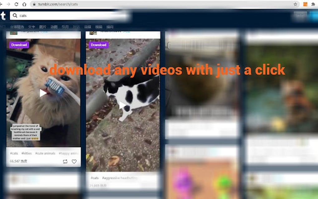 tumblr video downloader para Google Chrome - Extensión Descargar