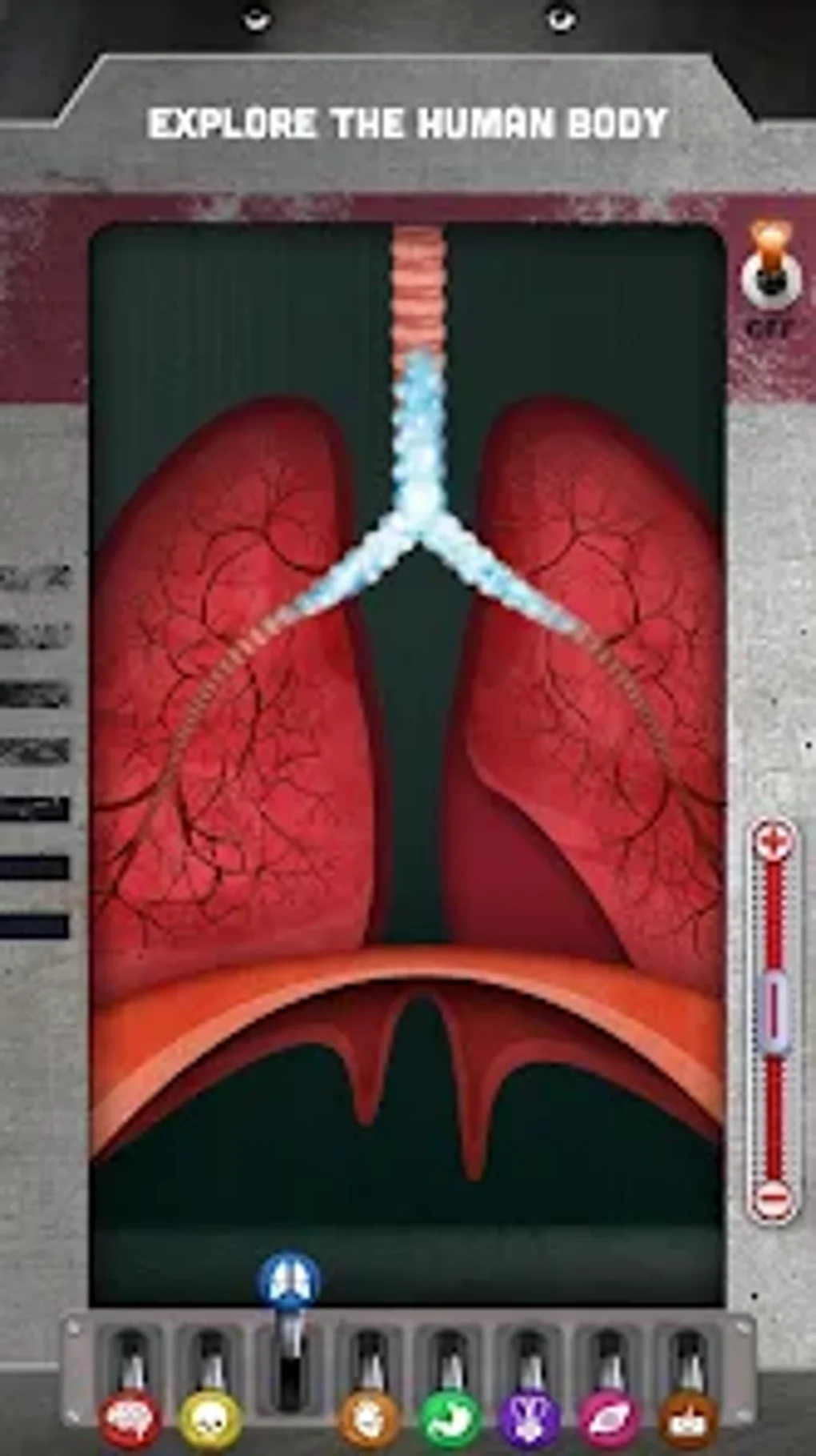 How does The Human Body Work for Android - Download