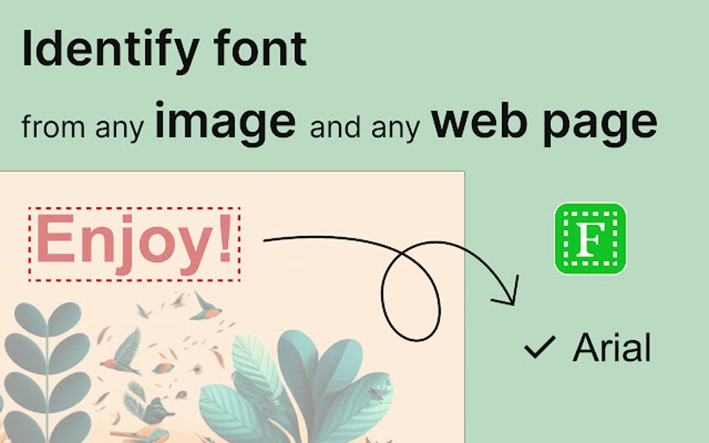 Font Finder & Identifier from Images & Web — FontXplorer Google Chrome ...