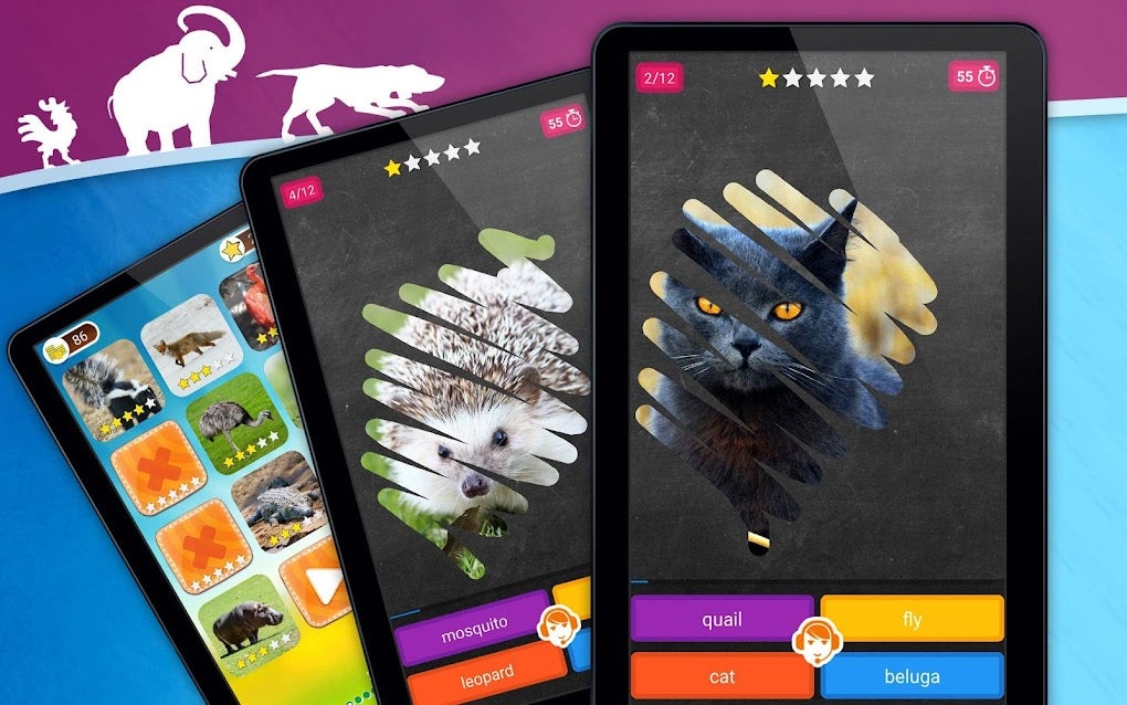 Scratch Game: Animals Quiz APK for Android - Download