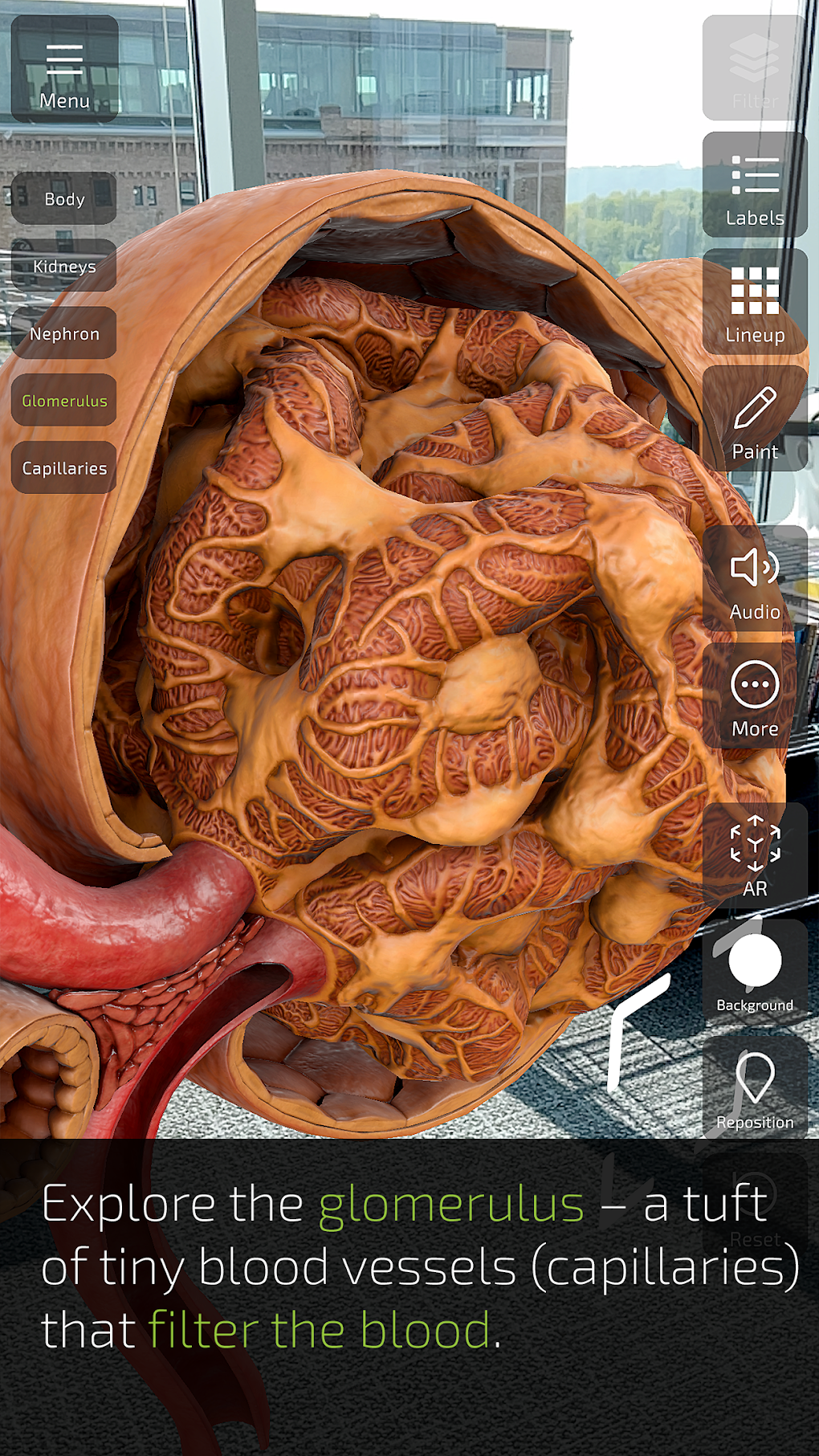 INSIGHT KIDNEY for Android - Download