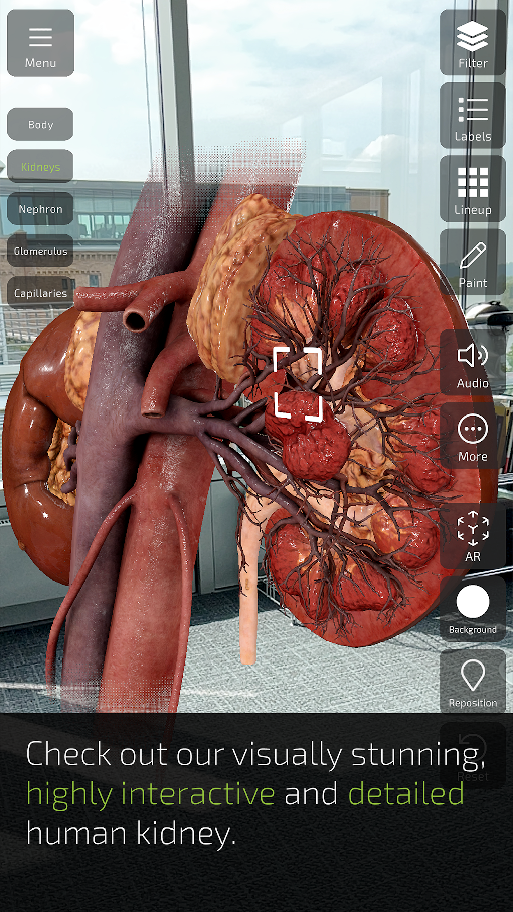INSIGHT KIDNEY for Android - Download