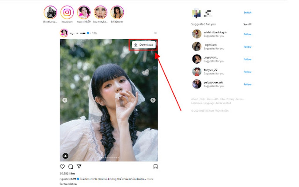 SnapSave: Video Downloader para Google Chrome - Extensión Descargar