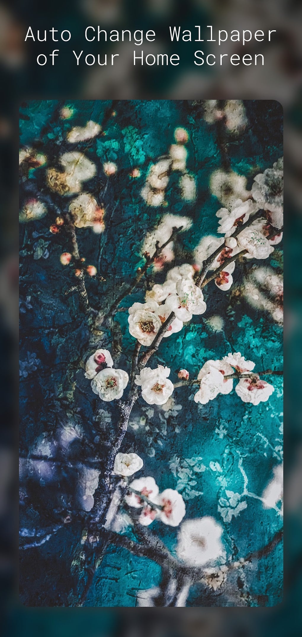 4K Wallpaper Changer - NexWall for Android - Download