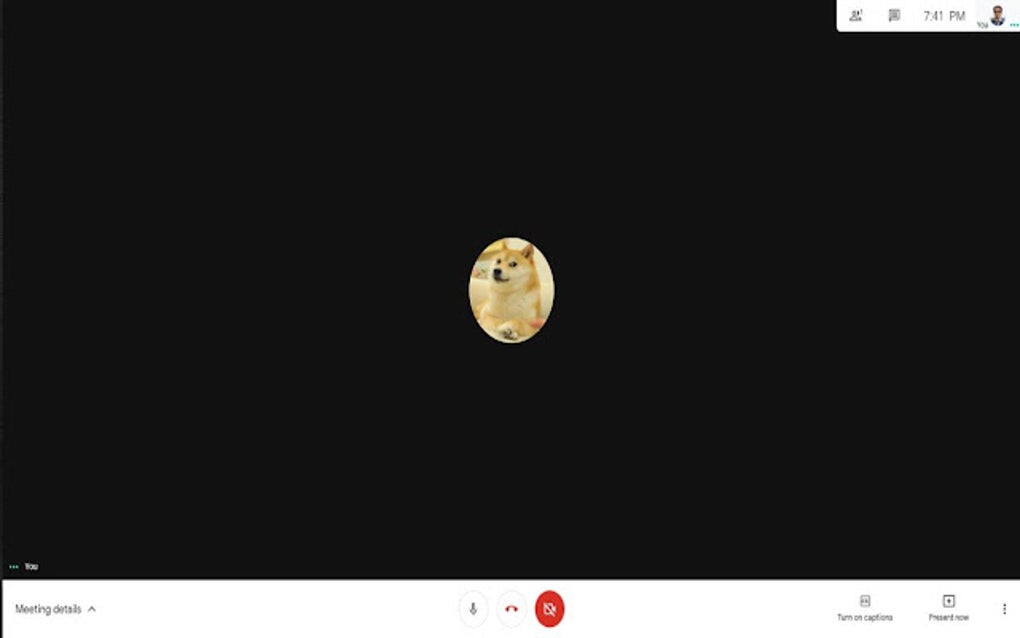 Doge Meet for Google Chrome - Extension Download