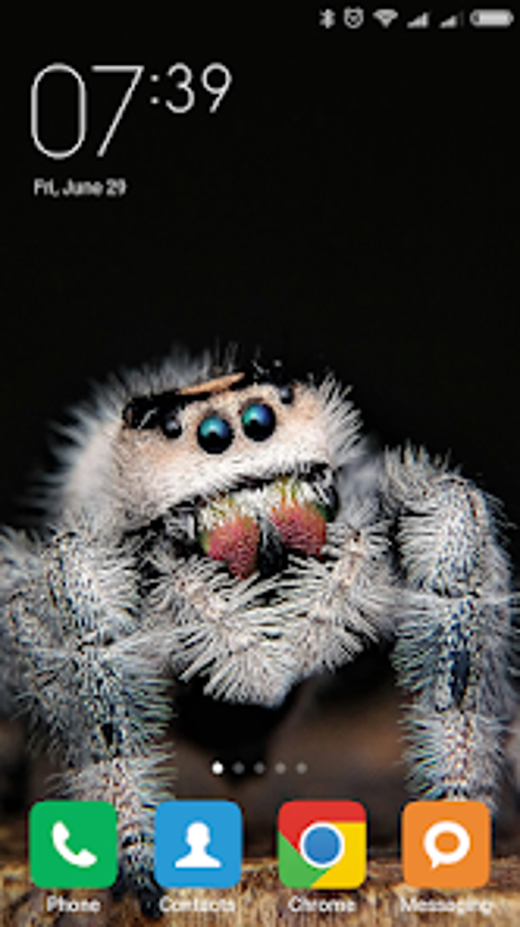 Spider Wallpapers per Android - Download