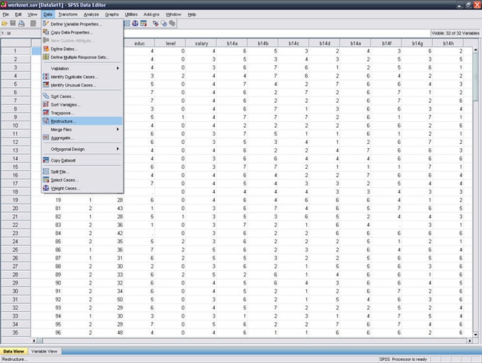 SPSS Statistics - Download