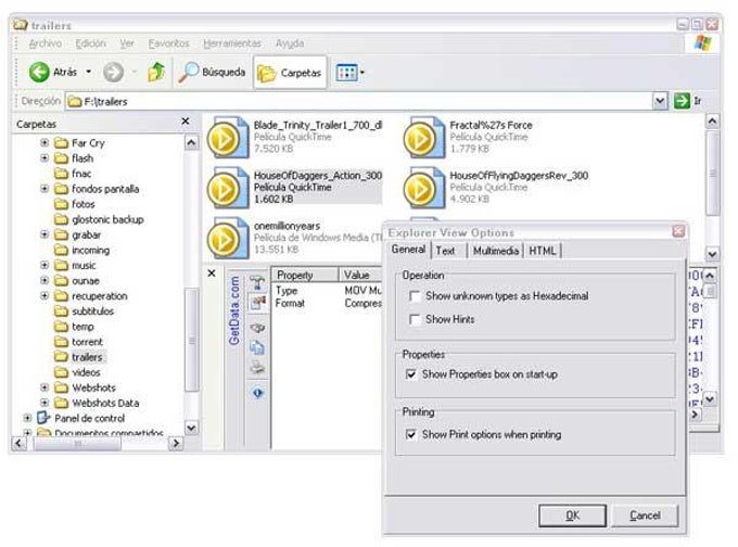 ExplorerView - Download