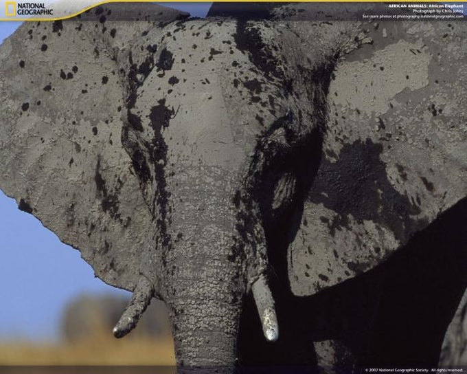 National Geographic Screensaver - Download