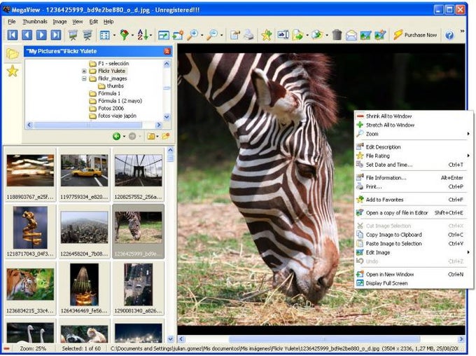 MegaView - Descargar