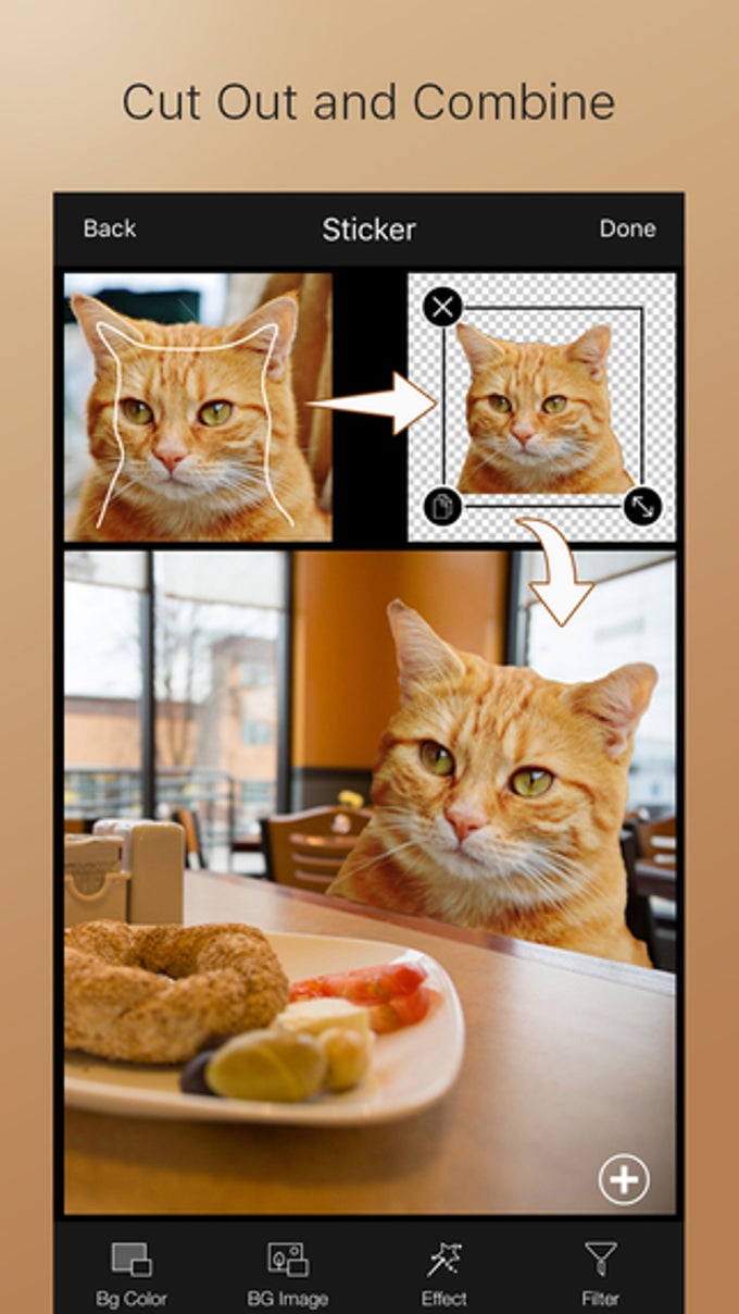 LightX for iPhone - Download