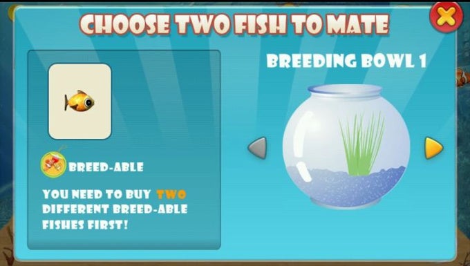Fish Live APK for Android - Download