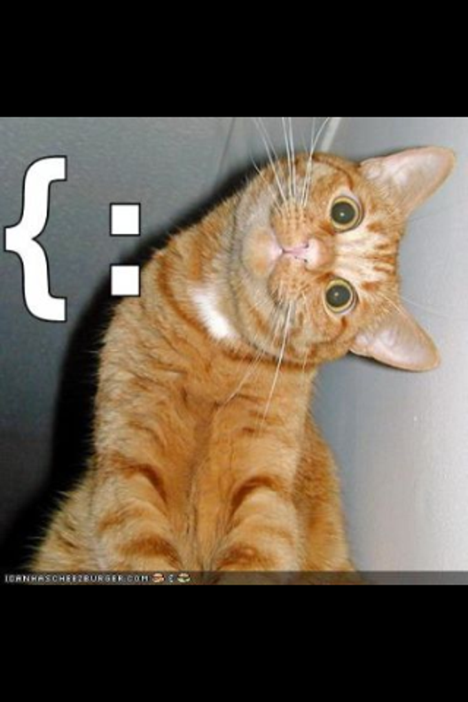 LOLCats for iPhone - Download