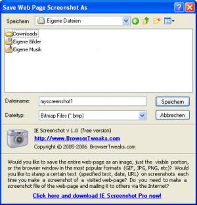 IE Screenshot - Download