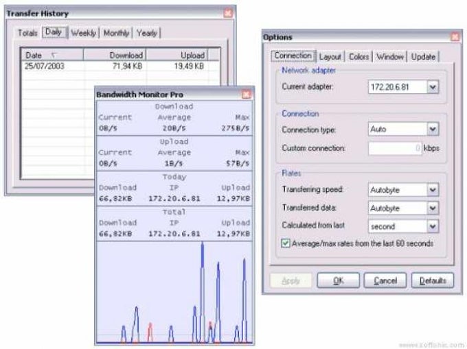 Bandwidth Monitor Pro - Descargar