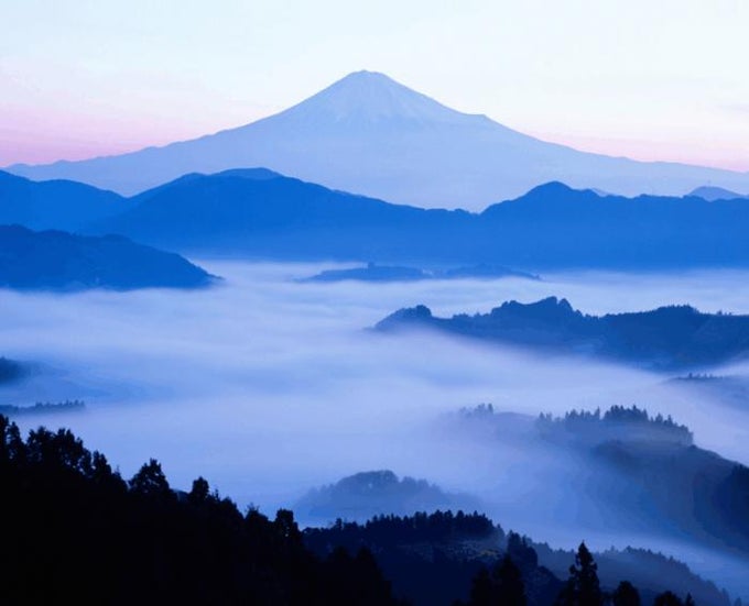 Windows Starter Wallpapers Pokémon Starter Trio HD Wallpaper