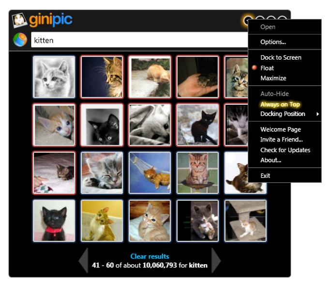 Ginipic - Download