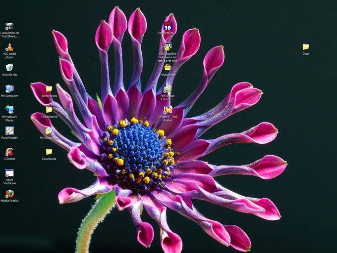 365 Magnificent Flowers Screen Saver - Download