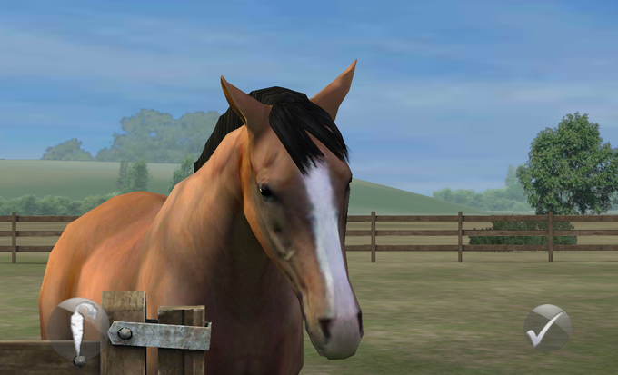 My Horse pour Android - Télécharger