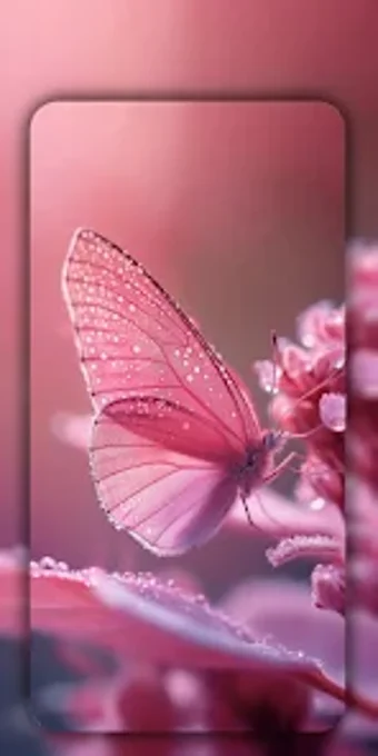 Pink Wallpaper HD background for Android - Download