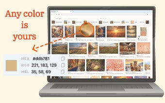HEX Color Picker for Google Chrome - Extension Download