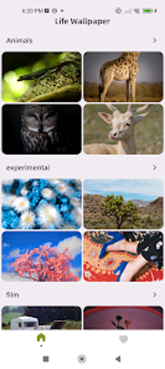 Life Wallpaper:4K Wallpaper para Android - Descargar