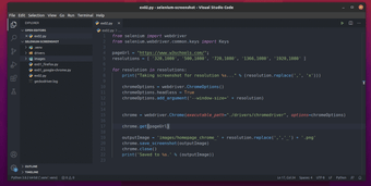 ChromeDriver - Download