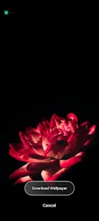 My Wallpapers for Android - Download