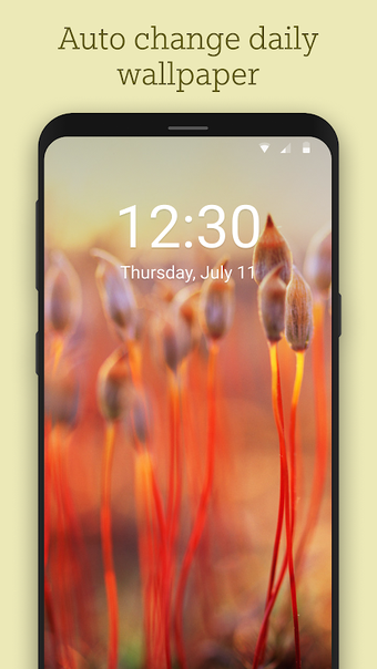 Bing Wallpapers APK for Android - Download
