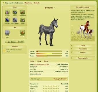 Howrse Online