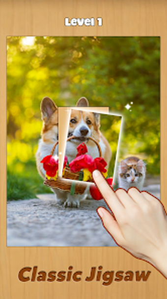 Jigcard: Sort Puzzle na Android - Download