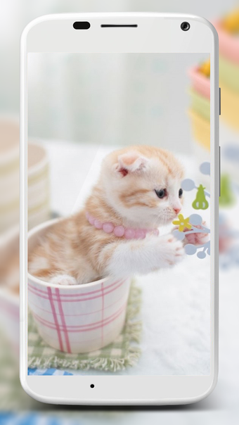 Cute Cats Wallpaper APK для Android — Скачать