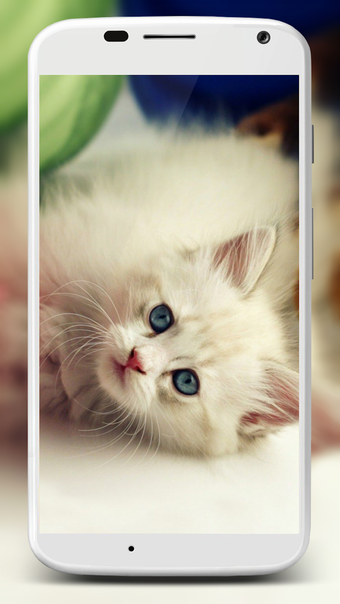 Cute Cats Wallpaper APK для Android — Скачать